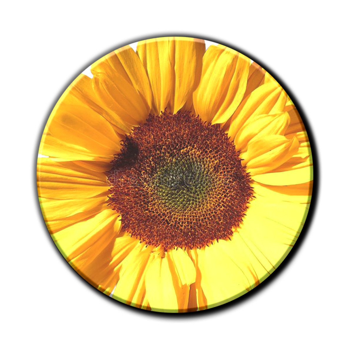 Magneți rotunzi pentru frigider Print 5cm